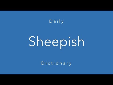 Sheepish (Daily Dictionary)