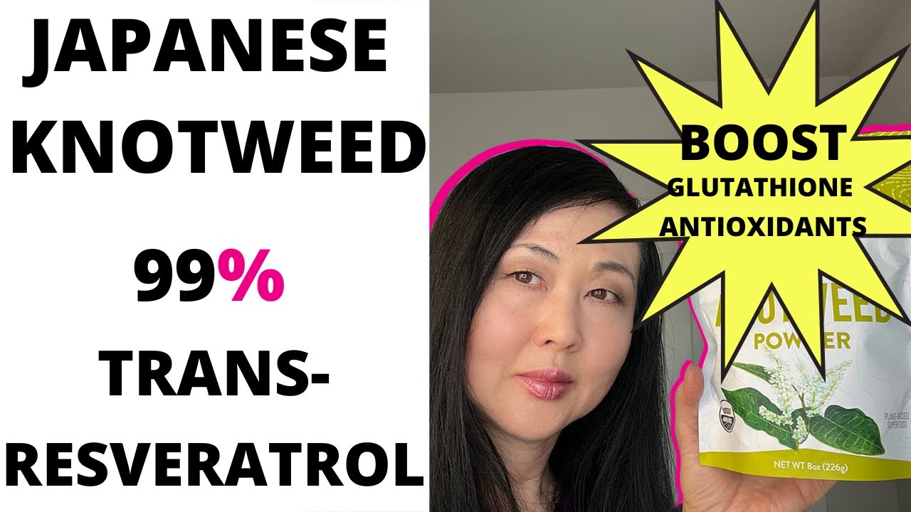Japanese Knotweed  99 % TRANS RESVERATROL