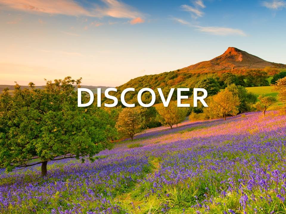 Discover the North York Moors National Park