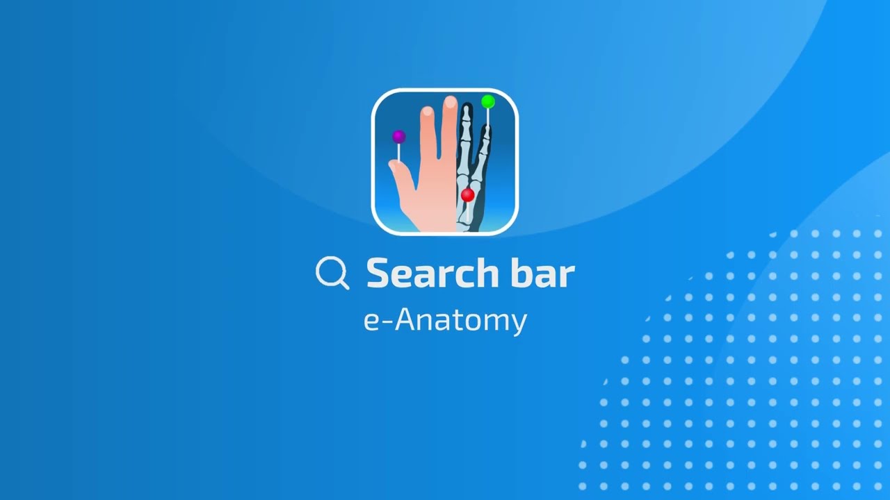 e-Anatomy: Search bar function