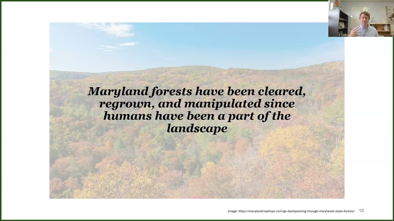 2025 Forestry and Natural Resources Webinar - Understanding Maryland's Forests