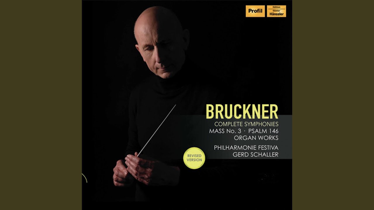 Symphony No. 9 in D Minor, WAB 109 (Arr. G. Schaller for Organ) : II. Scherzo. Bewegt, lebhaft...