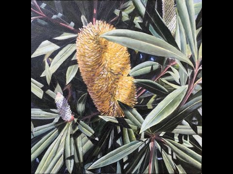 Coast Banksia