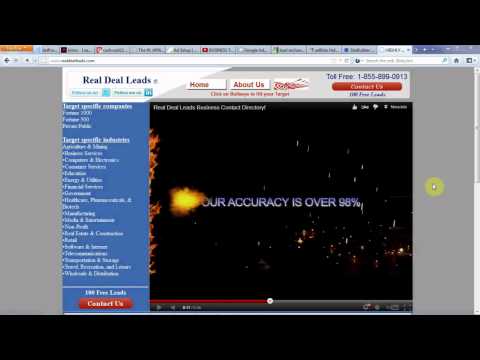 BUSINESS TO BUSINESS CONTACTS - B2B CONTACTS 100 FREE LEAD SAMPLE!