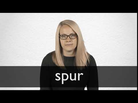 How to pronounce SPUR in British English