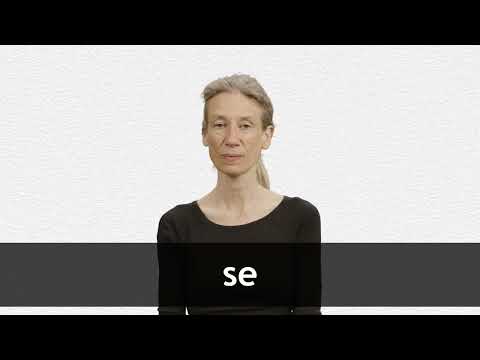 English Translation of “SE” | Collins French-English Dictionary