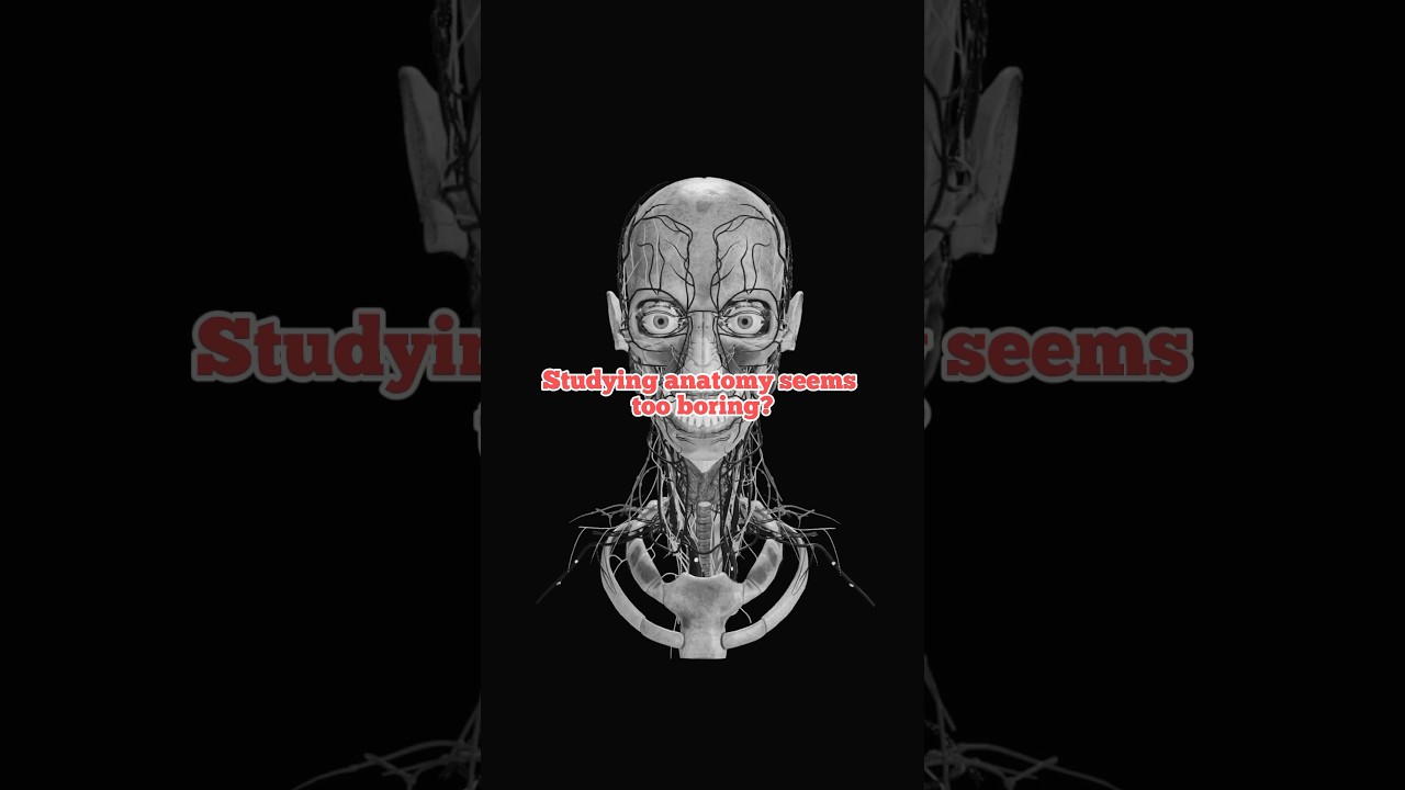 Discover the TOP 3D Atlas of Human Anatomy for FREE!