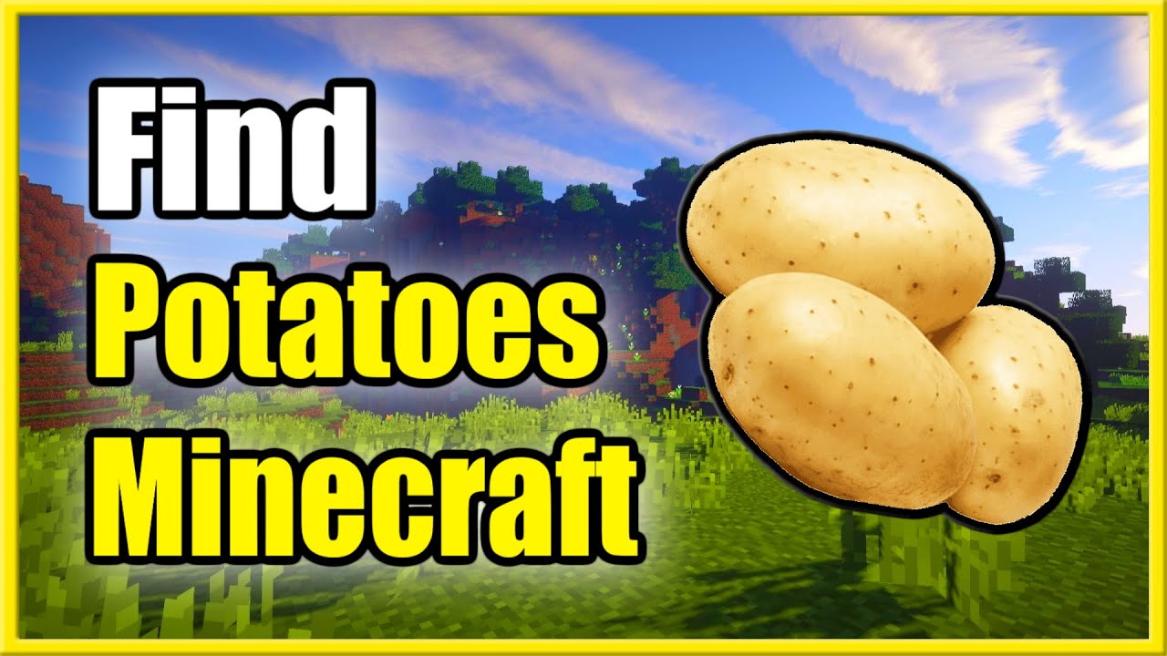 How to Find Potatoes in Minecraft (Best Tutorial)