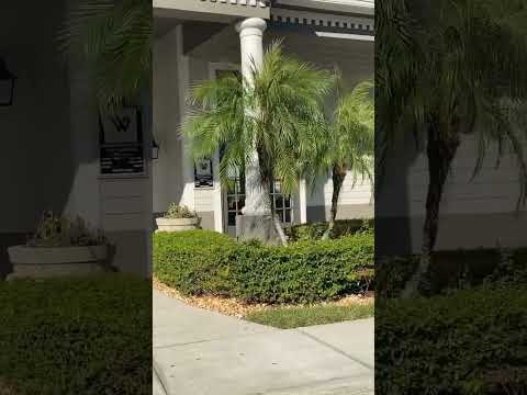 LOW INCOME APARTMENTS LOCATED IN BRANDON FL