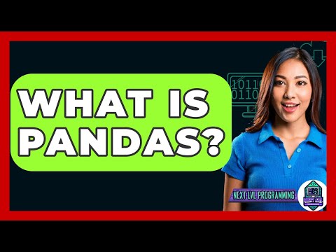 What Is Pandas? - Next LVL Programming