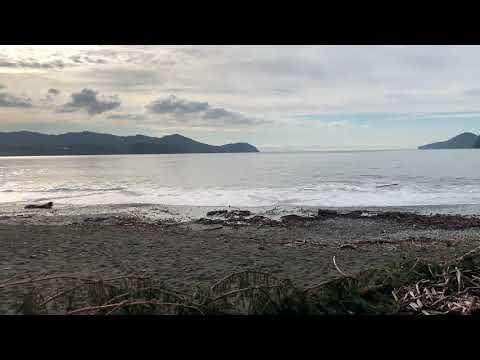 Camping on the beach in Port Renfrew Vancouver Island BC Canada