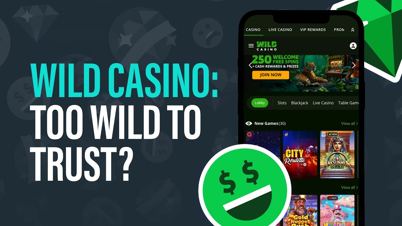 Wild Casino Review 2026 | Jackpot Meter Score