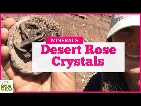 What is the DESERT ROSE CRYSTAL !? Where Can You Find One?