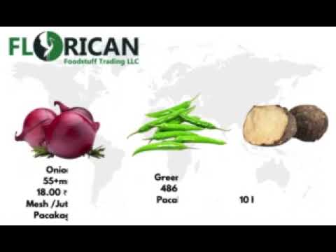 India Market Rate.16-03-2024.FLORICAN FOODSTUFF TRADING LLC