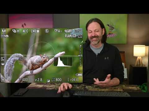 NIkon Z6 III for Wildlife and Birds