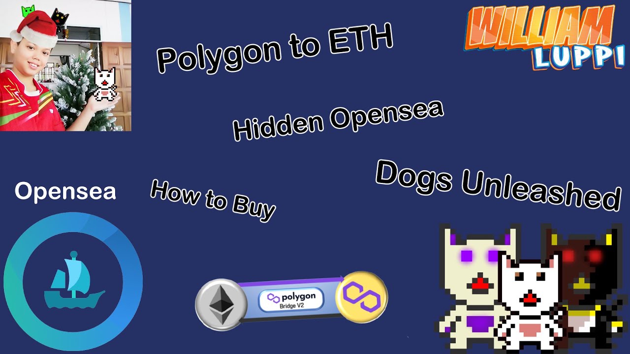 Opensea Polygon | How to Do Every On Polygon | William Luppi
