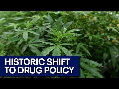 U.S. to reclassify marijuana as less dangerous drug