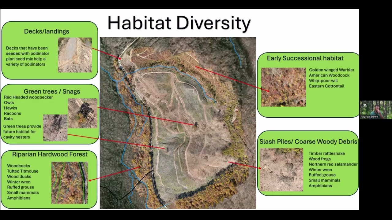 STEM Lyceums: STEM and the Environment
