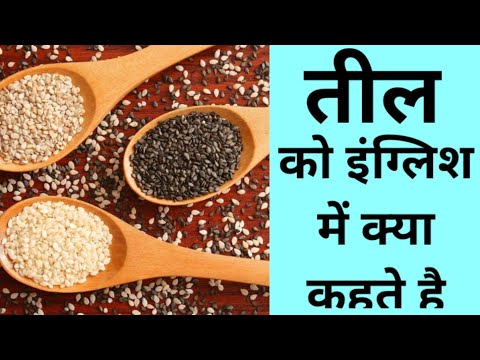 तिल को इंग्लिश में क्या कहते है | Til ko english mein kya kahate hain | Teel in english
