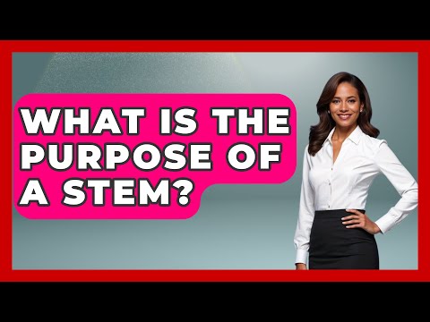What Is The Purpose Of A Stem? - The Plant Enthusiast