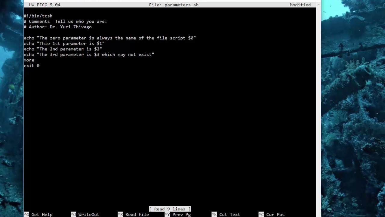 Shell Script Parameters