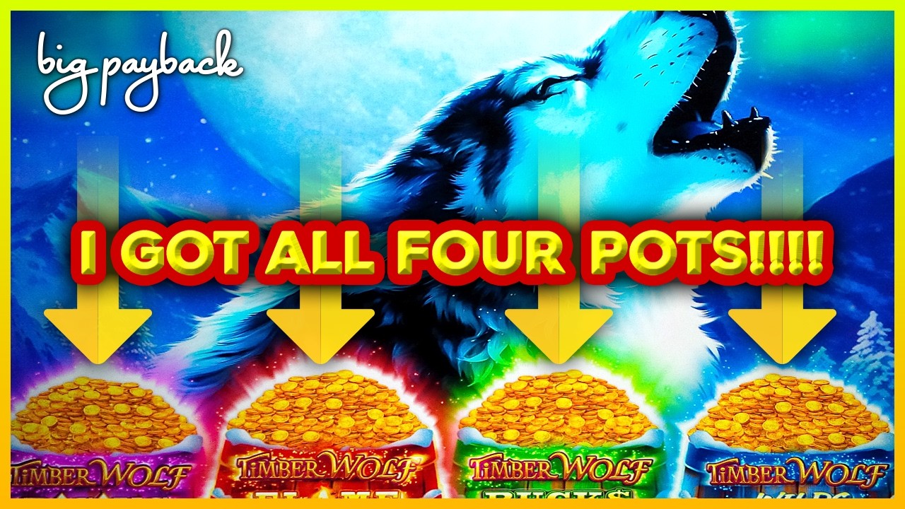 FOUR POT MEGA FEATURE! Timber Wolf Mega Power Slots!