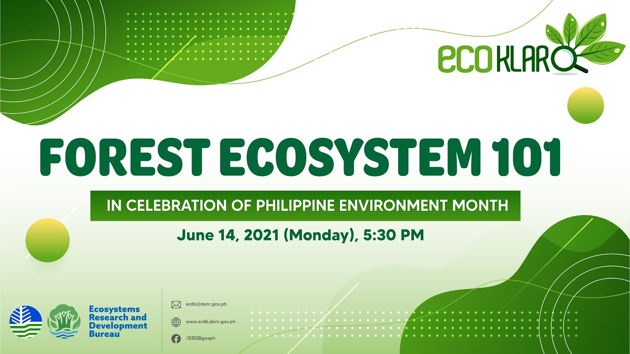 ECOKLARO: Forest Ecosystem 101