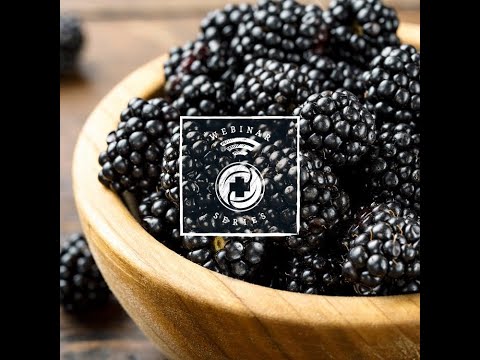 The Benefits of Polyphenols and a Low Fructose Diet