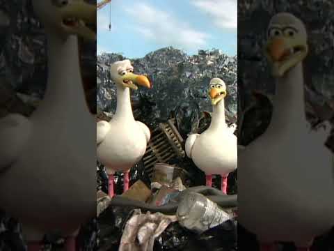 Seagulls for and against spicy food - Creature Comforts #shorts