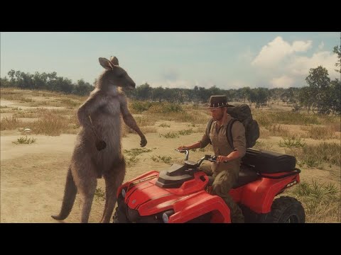 Steam Community :: Video :: I brought a Gun to a Kangaroo Fight ...