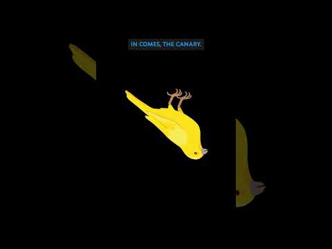 The origin of 'Canary in a Coal Mine' #sayings