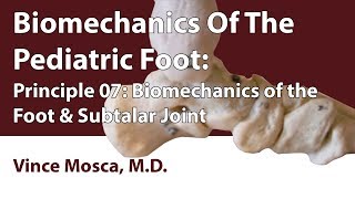 Vince Mosca: Biomechanics Of The Pediatric Foot [Playlist] Archives ...