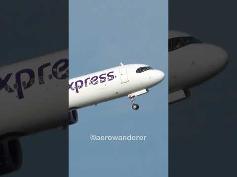 HK EXPRESS A321NEO takeoff at Bangkok Airport #shorts #aviation #plane #hongkong #a321 #takeoff