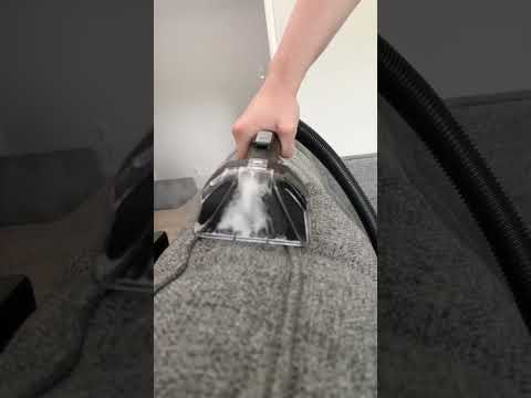Little Green® HydroSteam® Pet is the cleaning machine your couch needs.