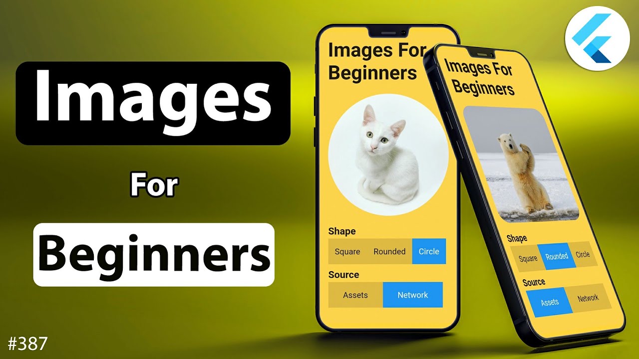 GitHub - JohannesMilke/images_for_beginners: Add images from a network ...