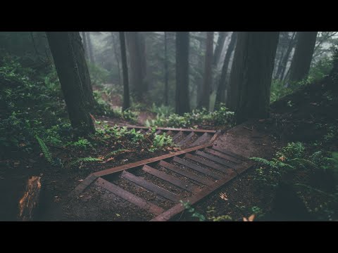 DJ MPB - Location  [ Lo-Fi | Trap ]