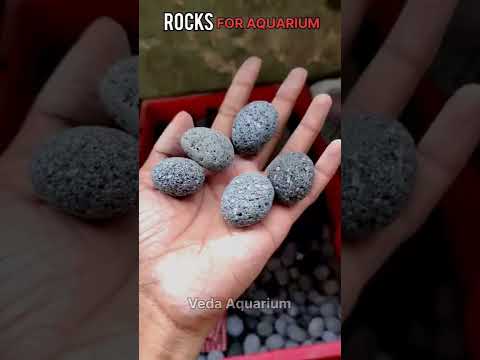 Best Rocks for Aquarium #rocks #aquascape #nature #shorts #viralshort #ada #stone #stones #sand