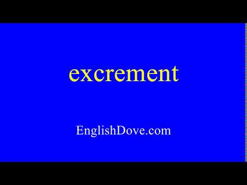 How to pronounce excrement in American English.