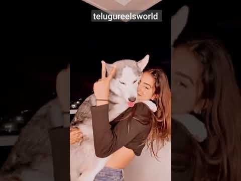 nayani pavani latest reel with her dog #artist #telugu #instagram #reel #telugureelsworld
