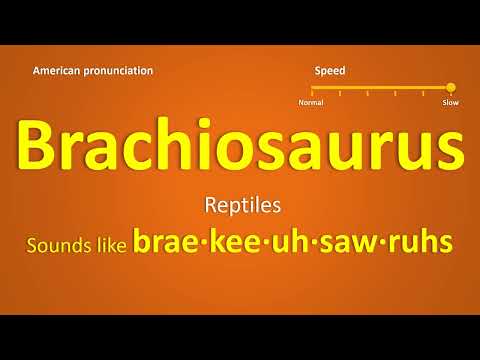 How to pronounce Brachiosaurus | How to say Brachiosaurus | American pronunciation