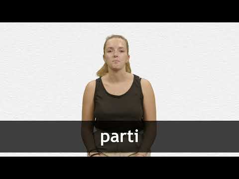English Translation of “PARTI” | Collins French-English Dictionary