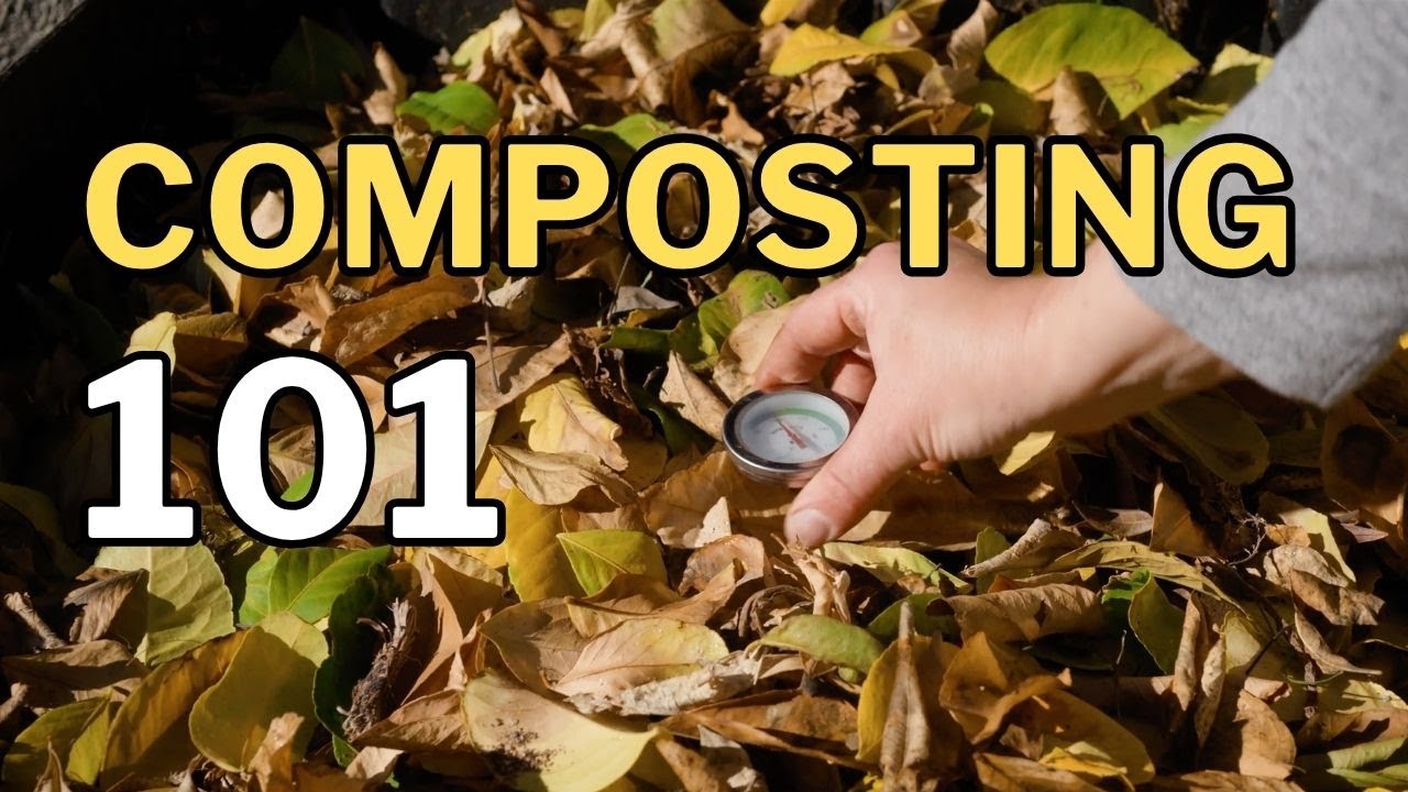 COMPOSTING 101: Turn Kitchen Scraps into Garden Gold