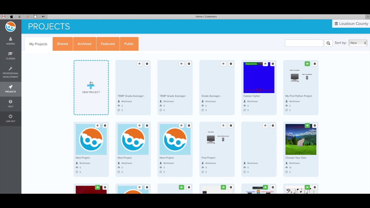 Codesters:    SW Development Techniques