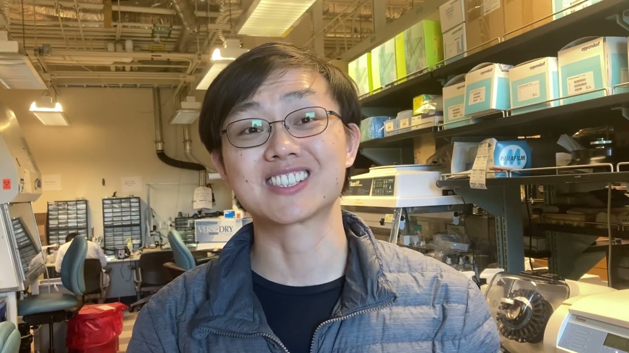 Wearable patch can measure a heart’s performance