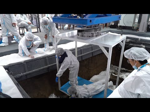 GLOBALink | A visit to Sanxingdui excavation site