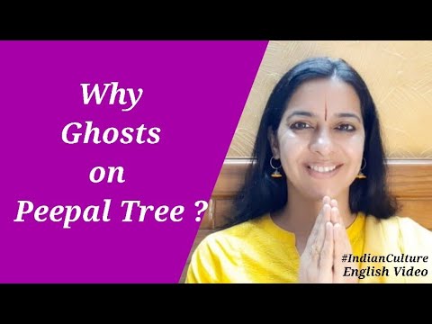 Why Indians believe on ghosts on peepal tree ? Why offer prayers to peepal tree | Indian Culture