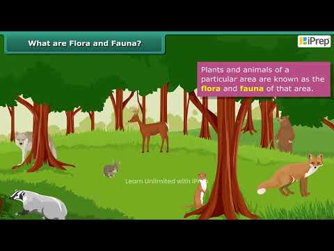 What are Flora and Fauna? | Conservation of Plants and Animals | Science | Class 8th | iPrep