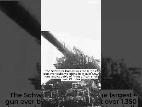 The Wunderwaffe Program
