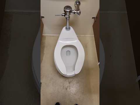 Mid 2000s Standard Height 1.6 American Standard Madera Toilet. #americanstandard #toilet #flush