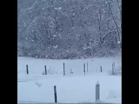 Another snowy Sunday in Frederick md
